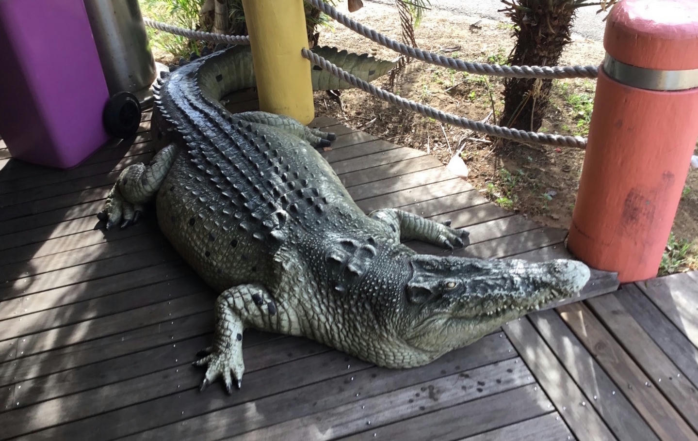 The Chair’s Where? Conway Beach, Queensland | DriveNow Blog