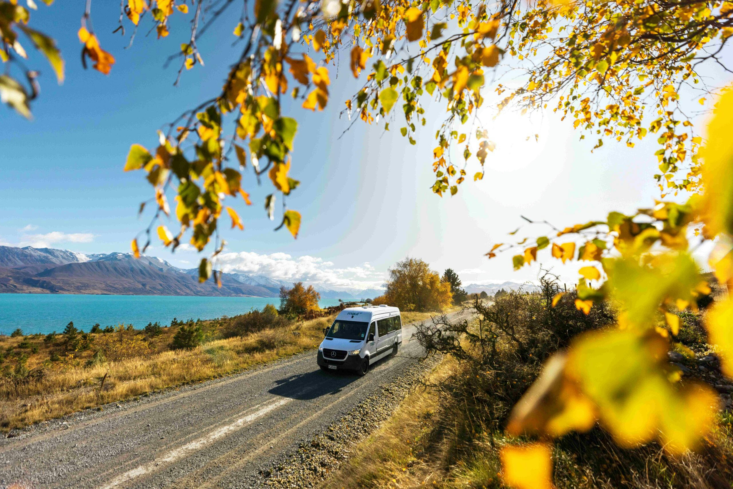 What you need to know about driving in New Zealand | DriveNow Blog